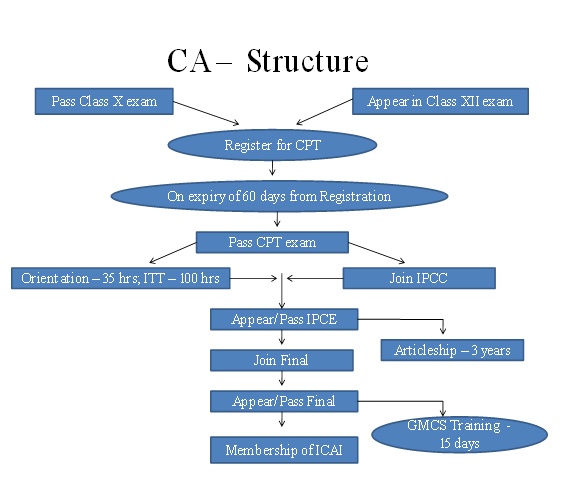 When Will I Able To Complete My CA Course In Which Year 